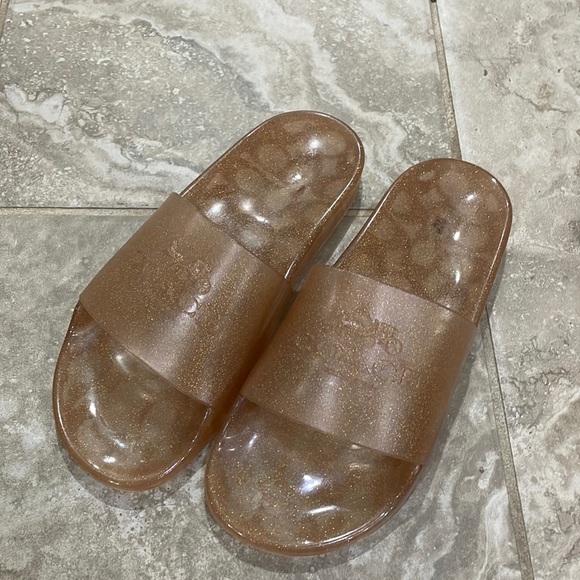Coach | Shoes | Coach Ulyssa Wsparkes Slide C368 Light Brown Sandals ...